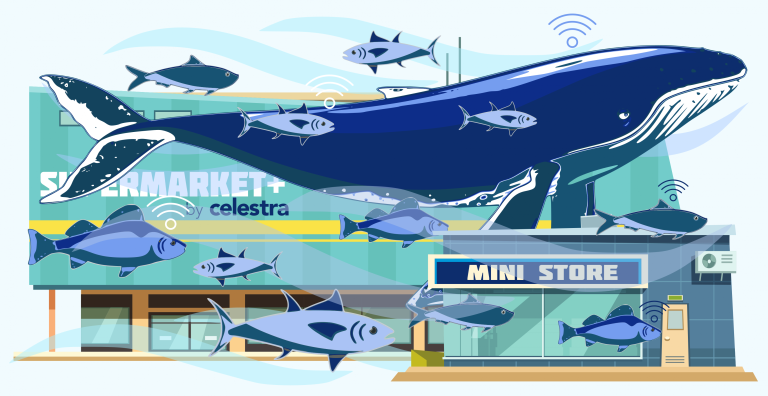 Big VS. Small - The 7 benefits of small format stores