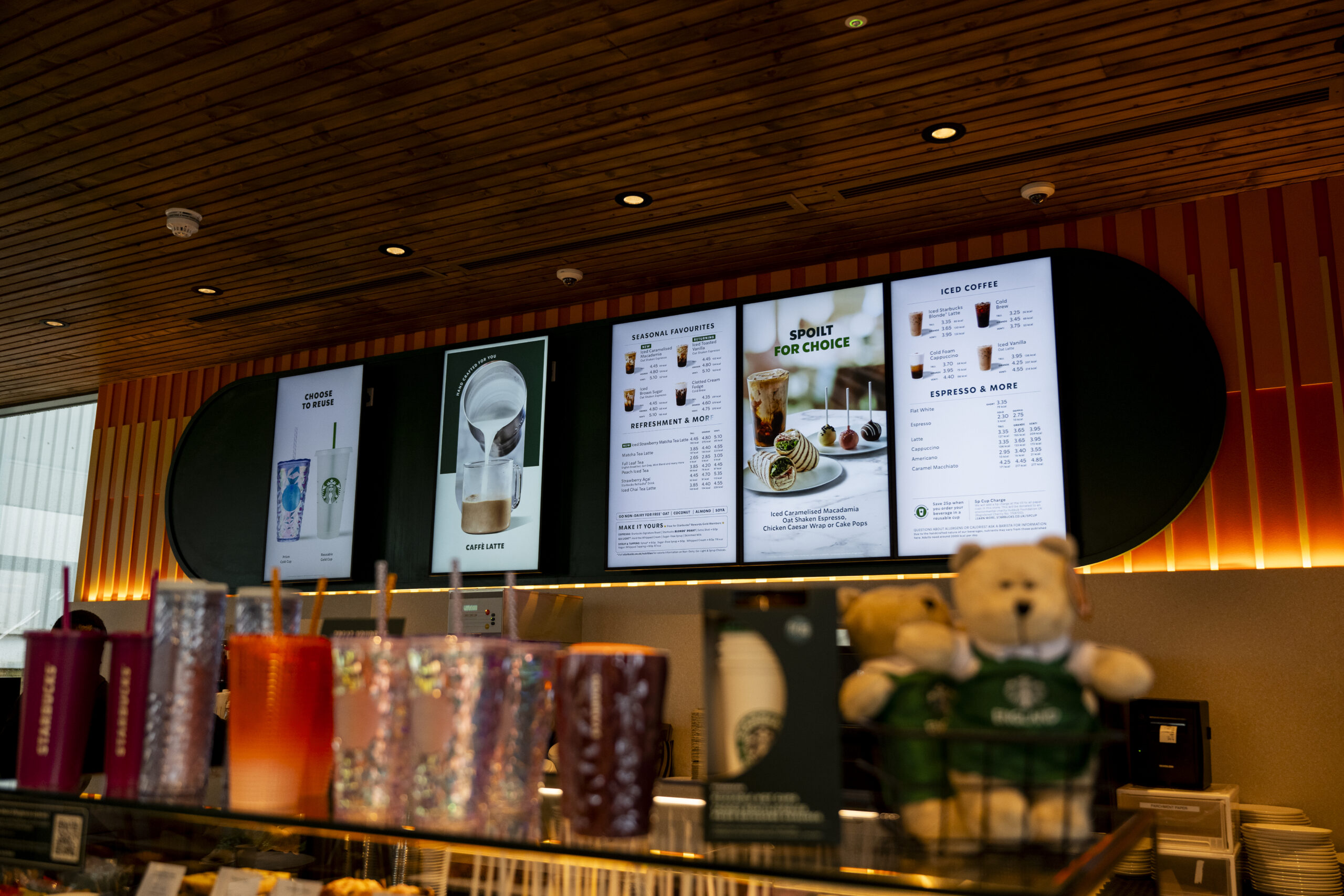 At A Glance - What We Do | Celestra